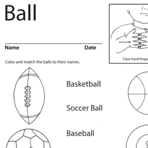 Lesson Plan- Ball - ASL Teaching Resources