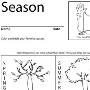 Lesson Plan- Season - ASL Teaching Resources