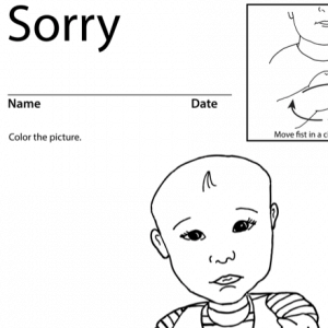 Lesson Plan- Sorry - ASL Teaching Resources